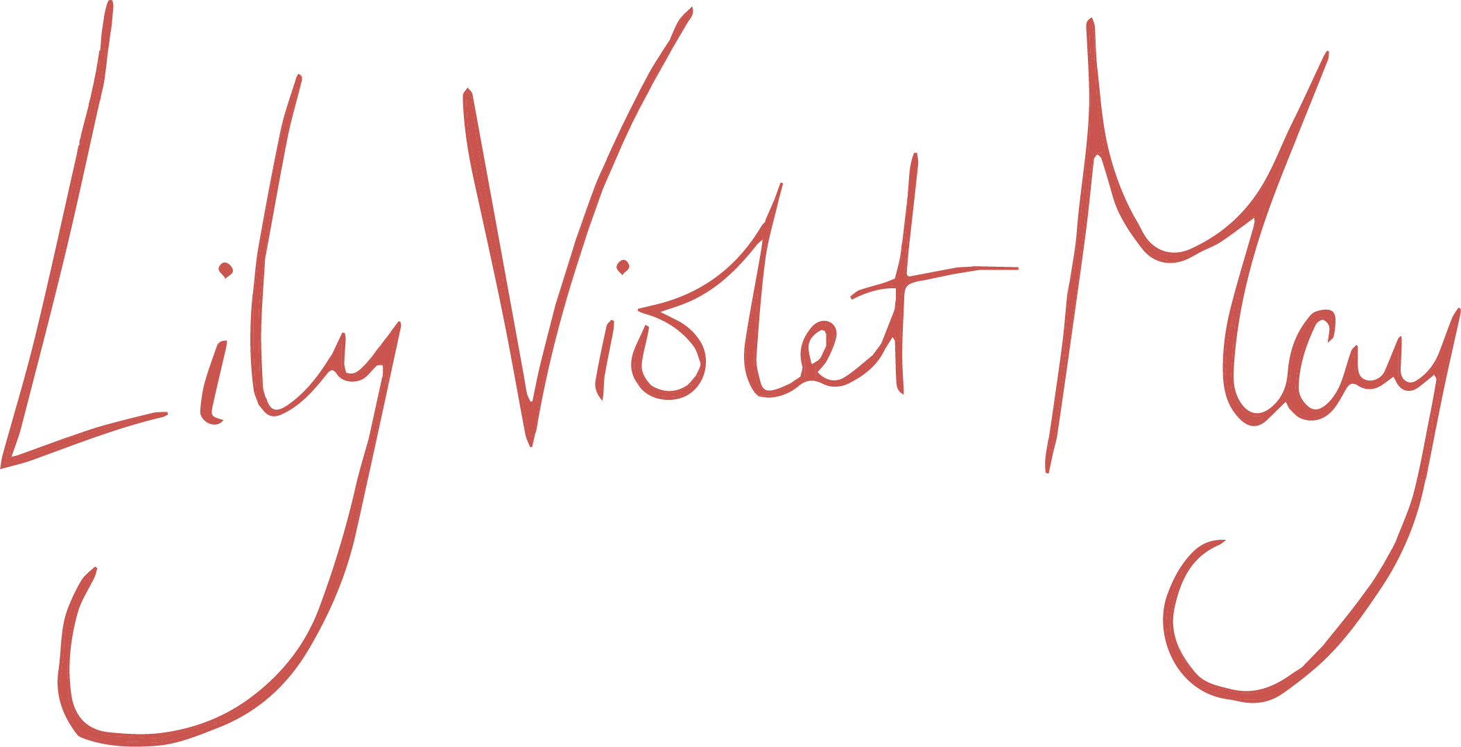 Lily Violet May – Lily violet may flowers