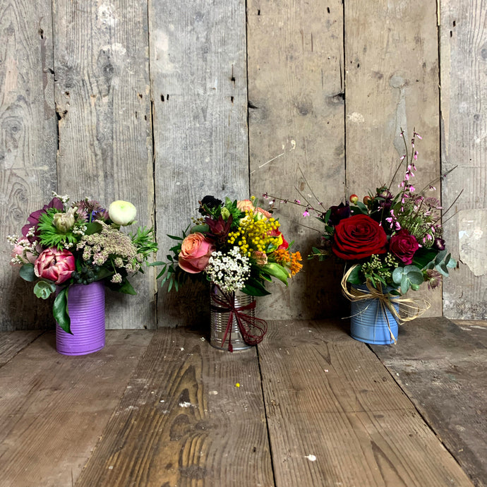 Lily Violet May – Lily violet may flowers